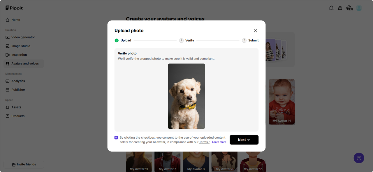 Create Talking Animal Videos: A Step-by-Step Guide for Funny Content